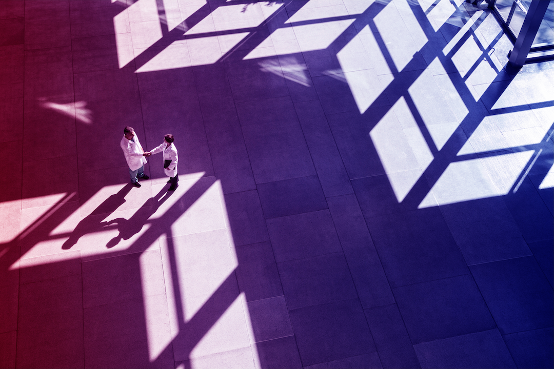 SecAlliance Brand & Website Case Study